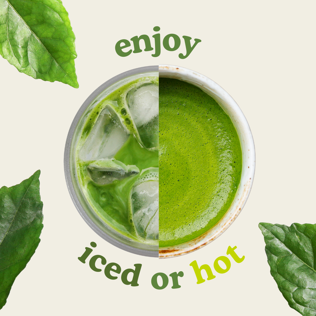 Organic Everyday Matcha – Sencha Naturals