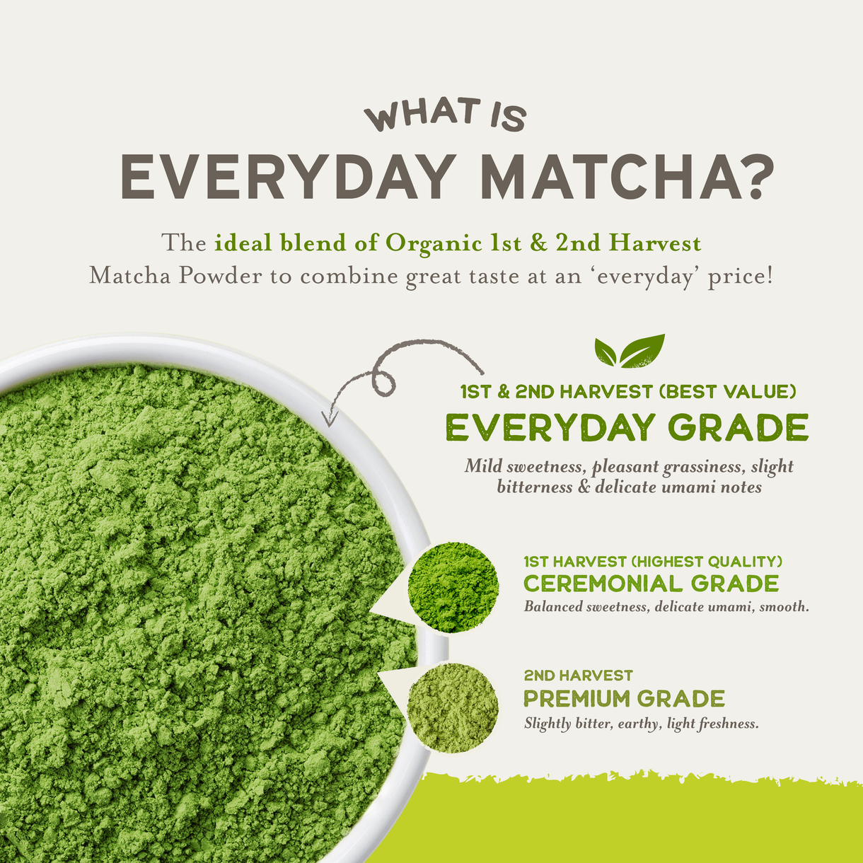 Organic Everyday Matcha – Sencha Naturals